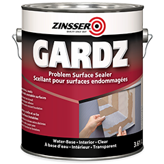 Problem Surface Sealer | Zinsser | Rust-Oleum
